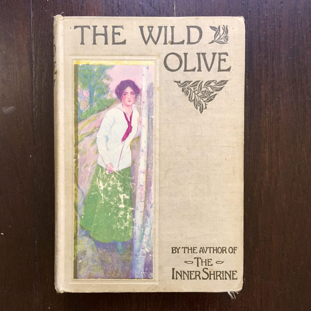 The Wild Olive by Basil King Hardcover Book (1910) | Heritage Outfitters